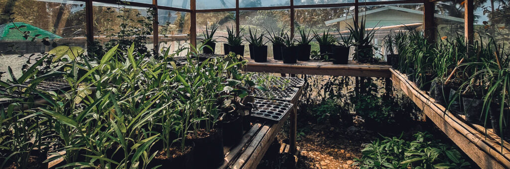 How to Design Your Shade House with Greenhouse Shade Nets