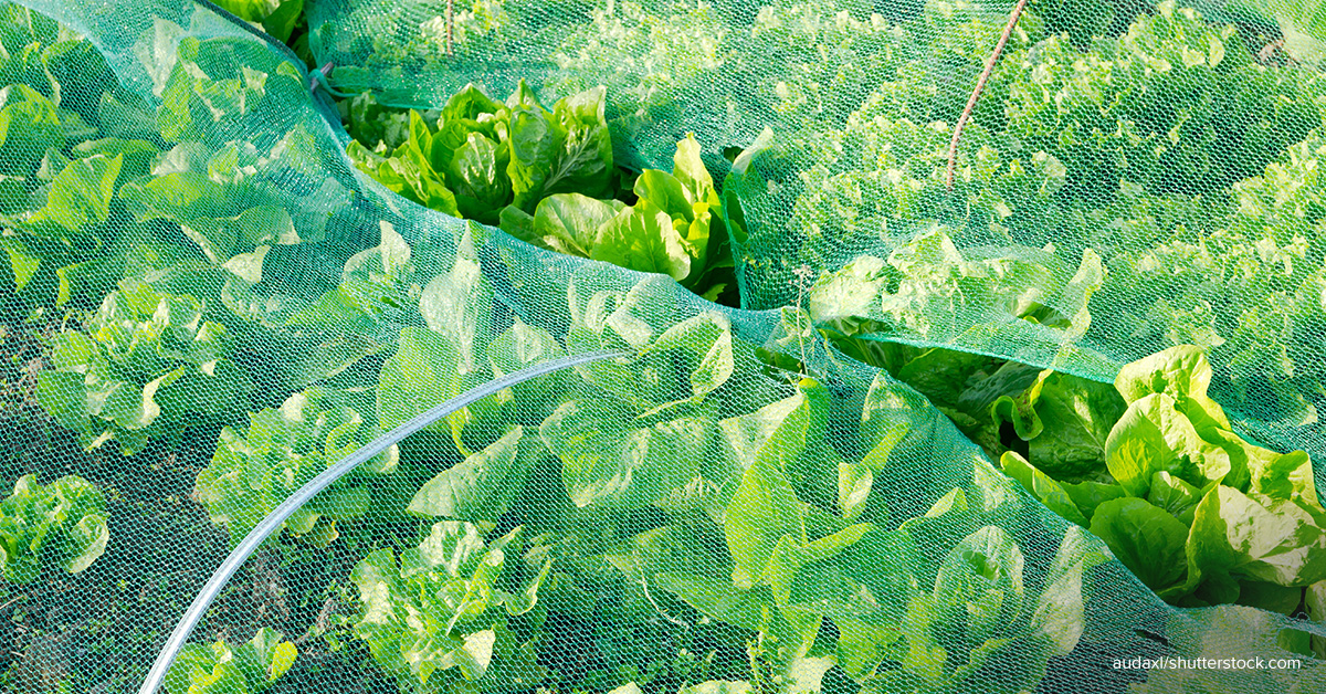 Shade Nets for Summer: A Guide to Shade Nets and Their Uses