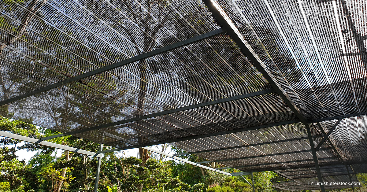 Shade Nets for Summer: A Guide to Shade Nets and Their Uses