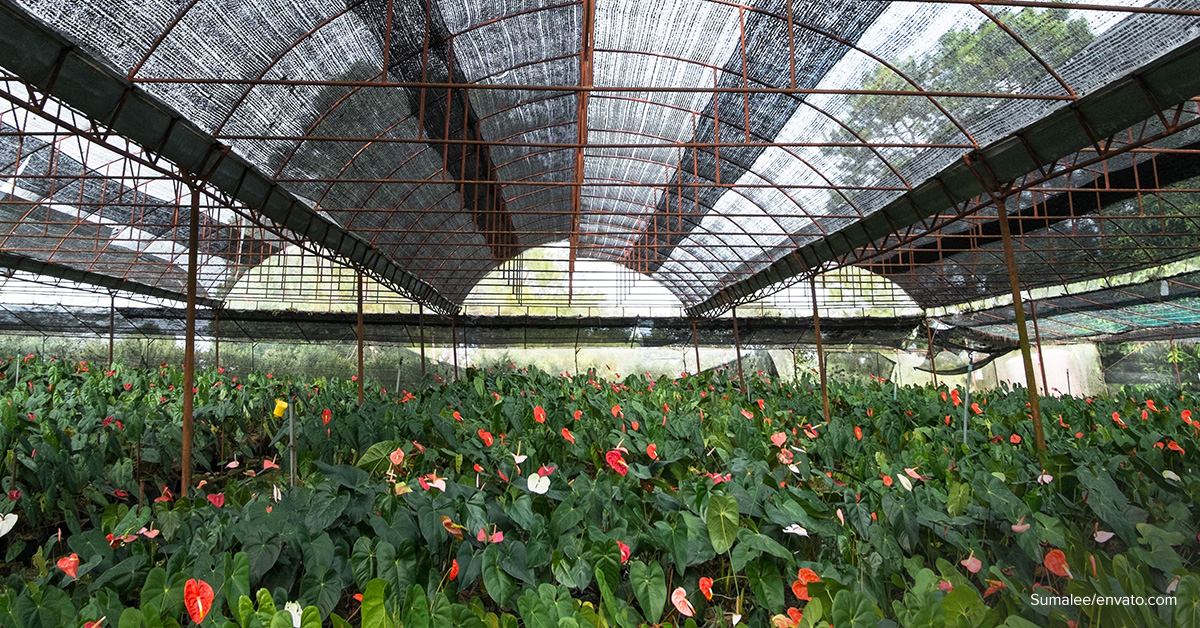 Garden Net for Heat: How to Keep Your Garden Cool in Summer