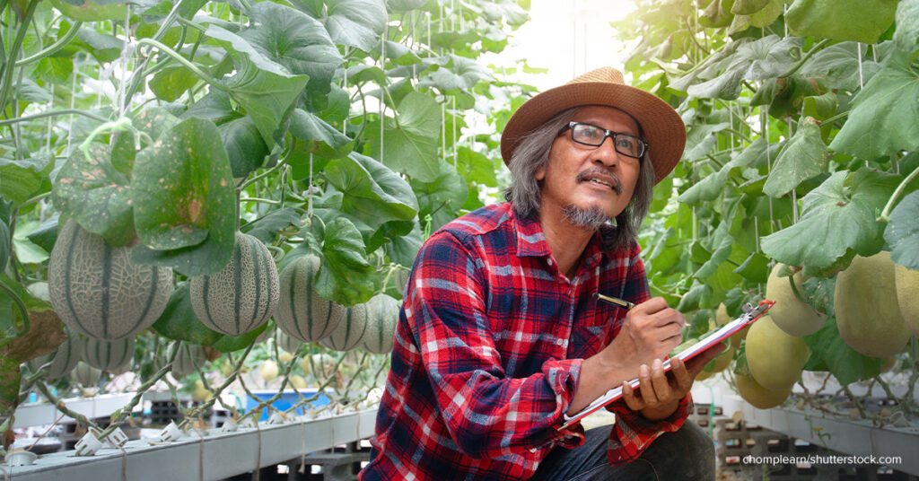 Debunking Common Garden Net Myth: What You Need to Know