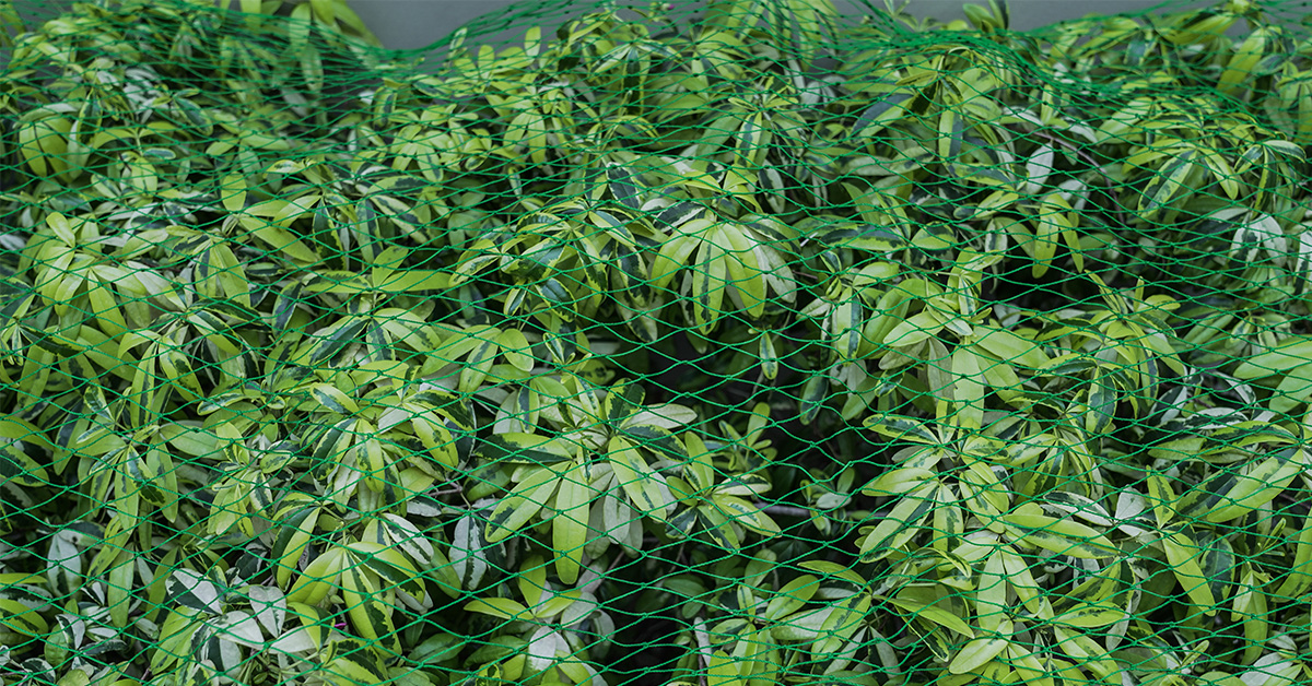 Debunking Common Garden Net Myth: What You Need to Know