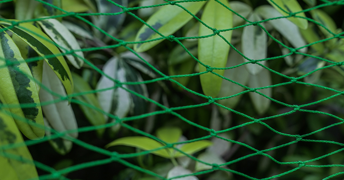 Debunking Common Garden Net Myth: What You Need to Know