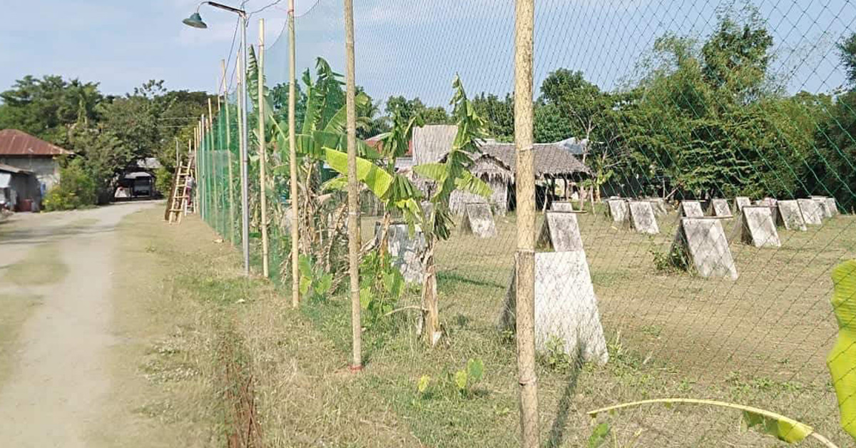 Safety with Chicken Net: Saan Protektado ang Alagang Manok?