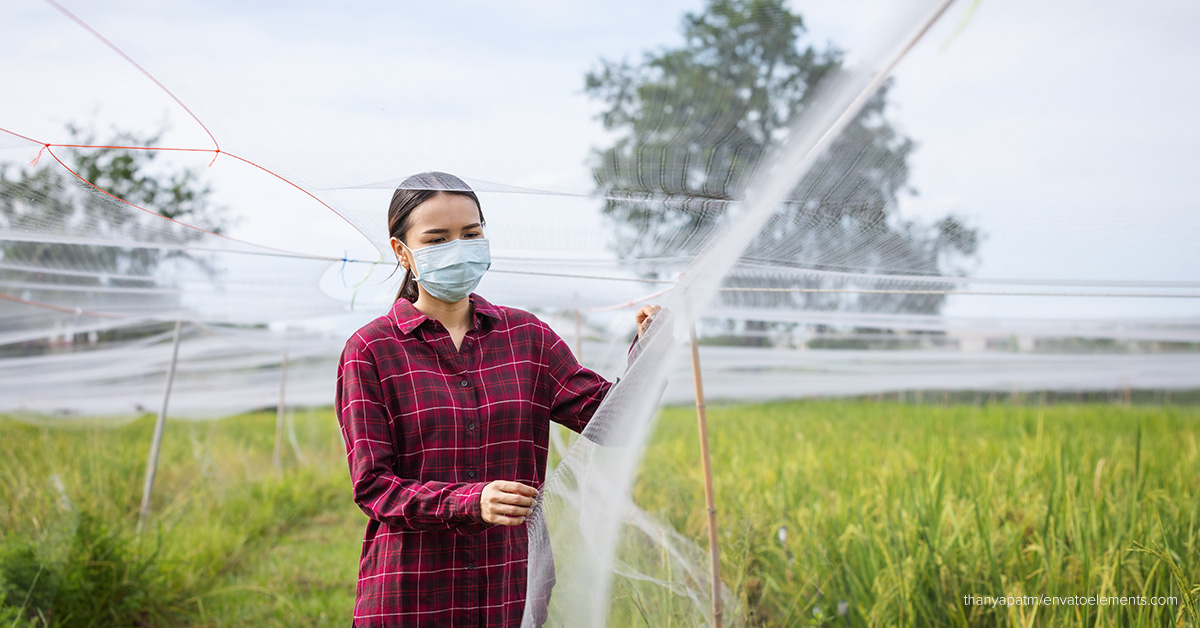 Mosquito Nets Prevent Disease like Viral Infection