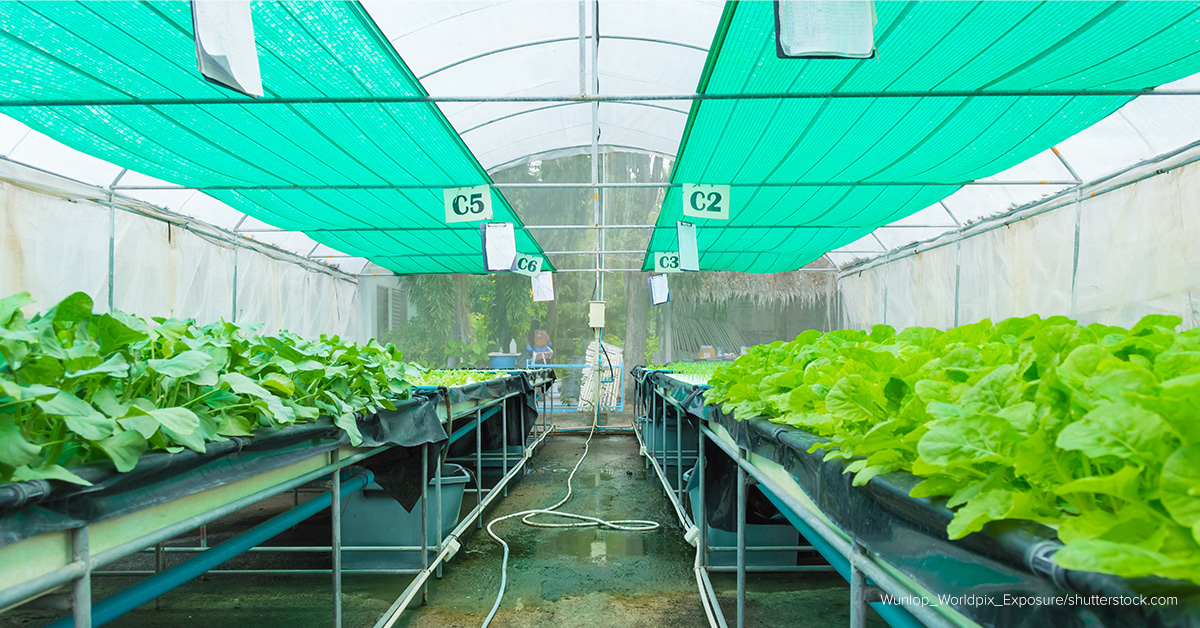 Discover the Essential Benefits of Garden Nets for Fruit Trees